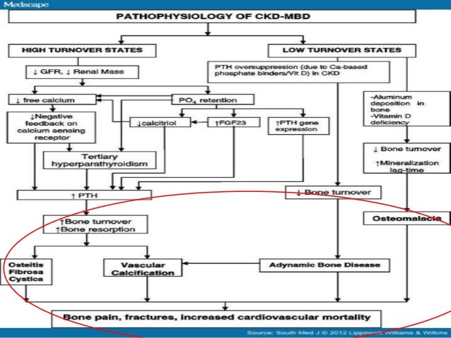 Chronic Kidney Disease-Mineral Bone Disease