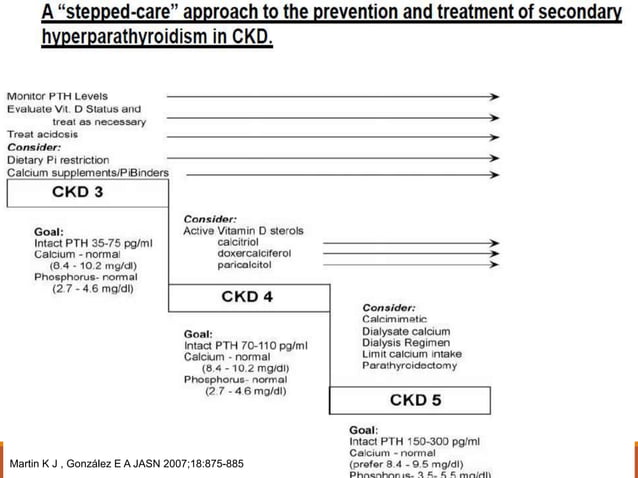 Ckd mbd | PPTX | Bone and Joint Conditions | Diseases and Conditions