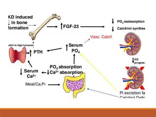 Ckd mbd | PPTX