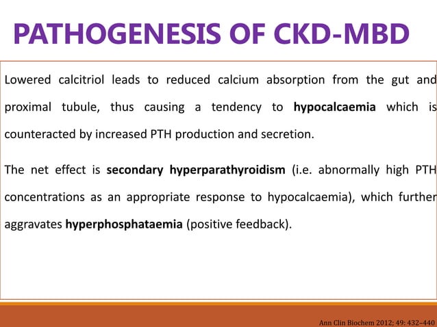 Ckd mbd | PPTX | Bone and Joint Conditions | Diseases and Conditions