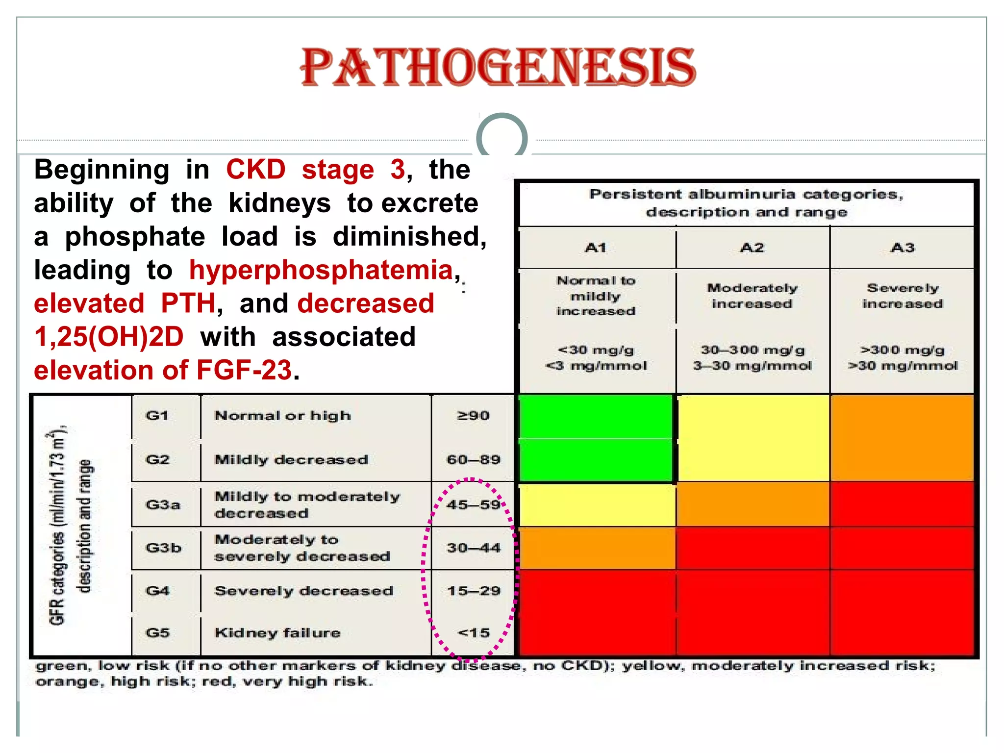 Ckd mbd - dr. hanan moustafa | PPT