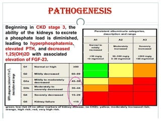 Ckd mbd - dr. hanan moustafa | PPT