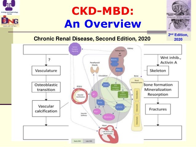Ckd mbd 2020 update prof. hussein sheashaa
