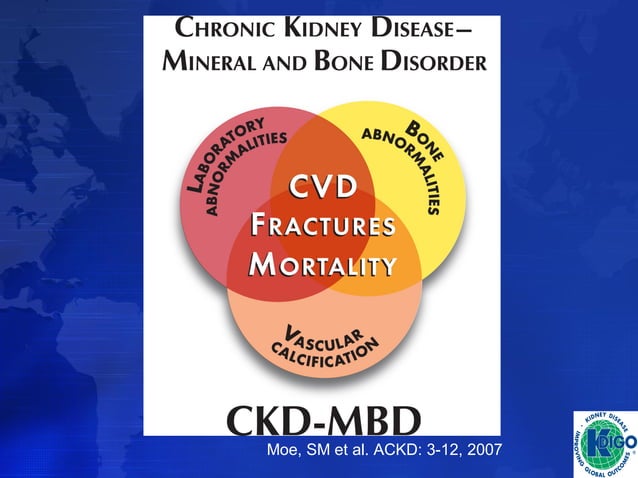 Ckd mbd guideline | PPT