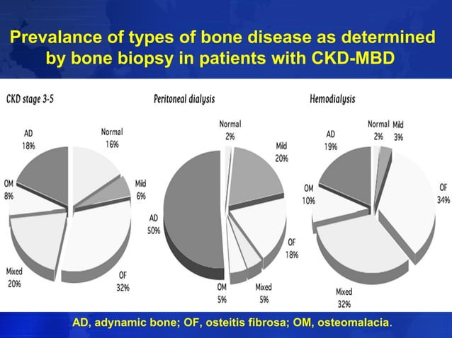 Ckd mbd guideline | PPT