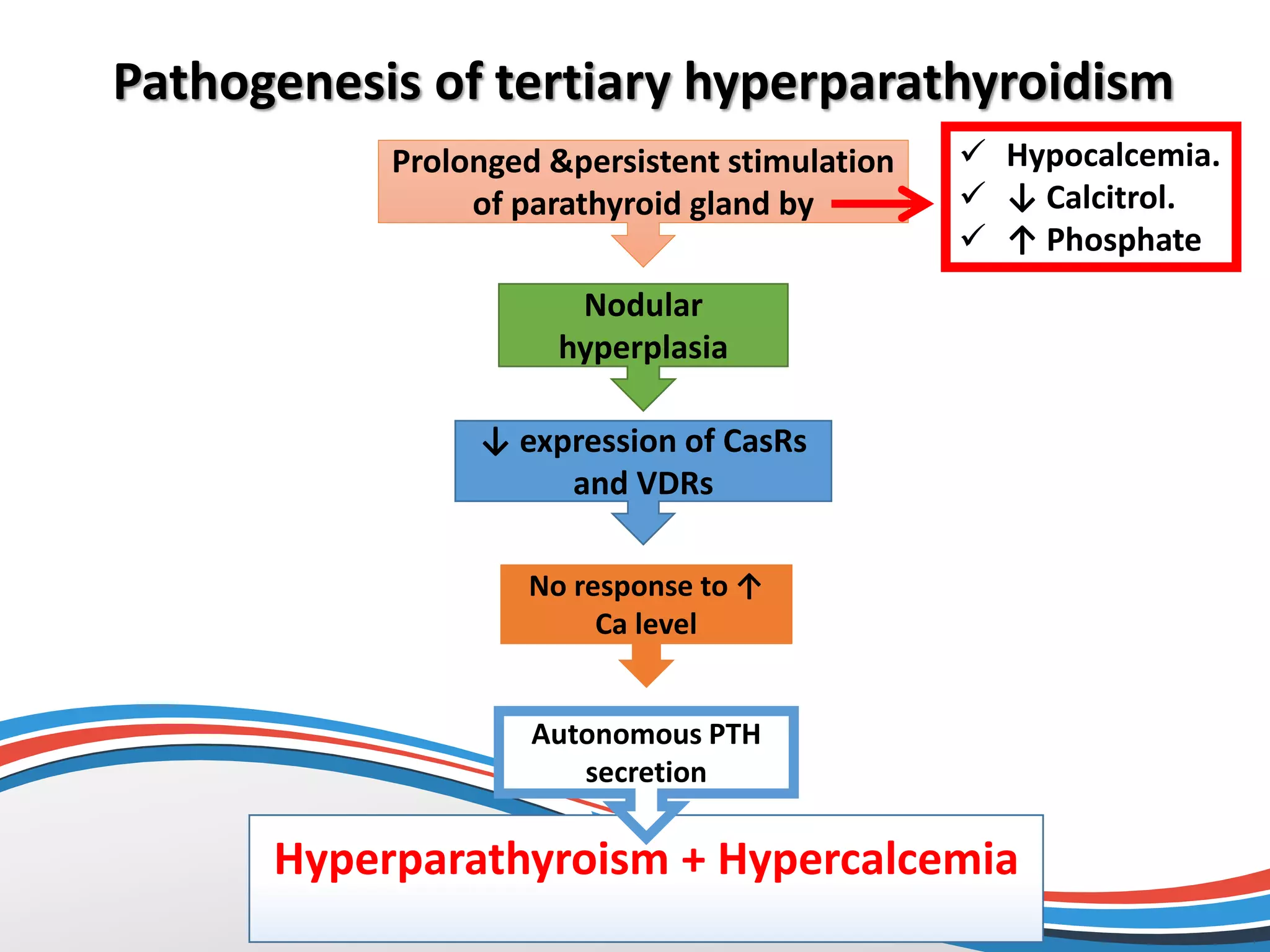 CKD MBD; make it easy | PPTX