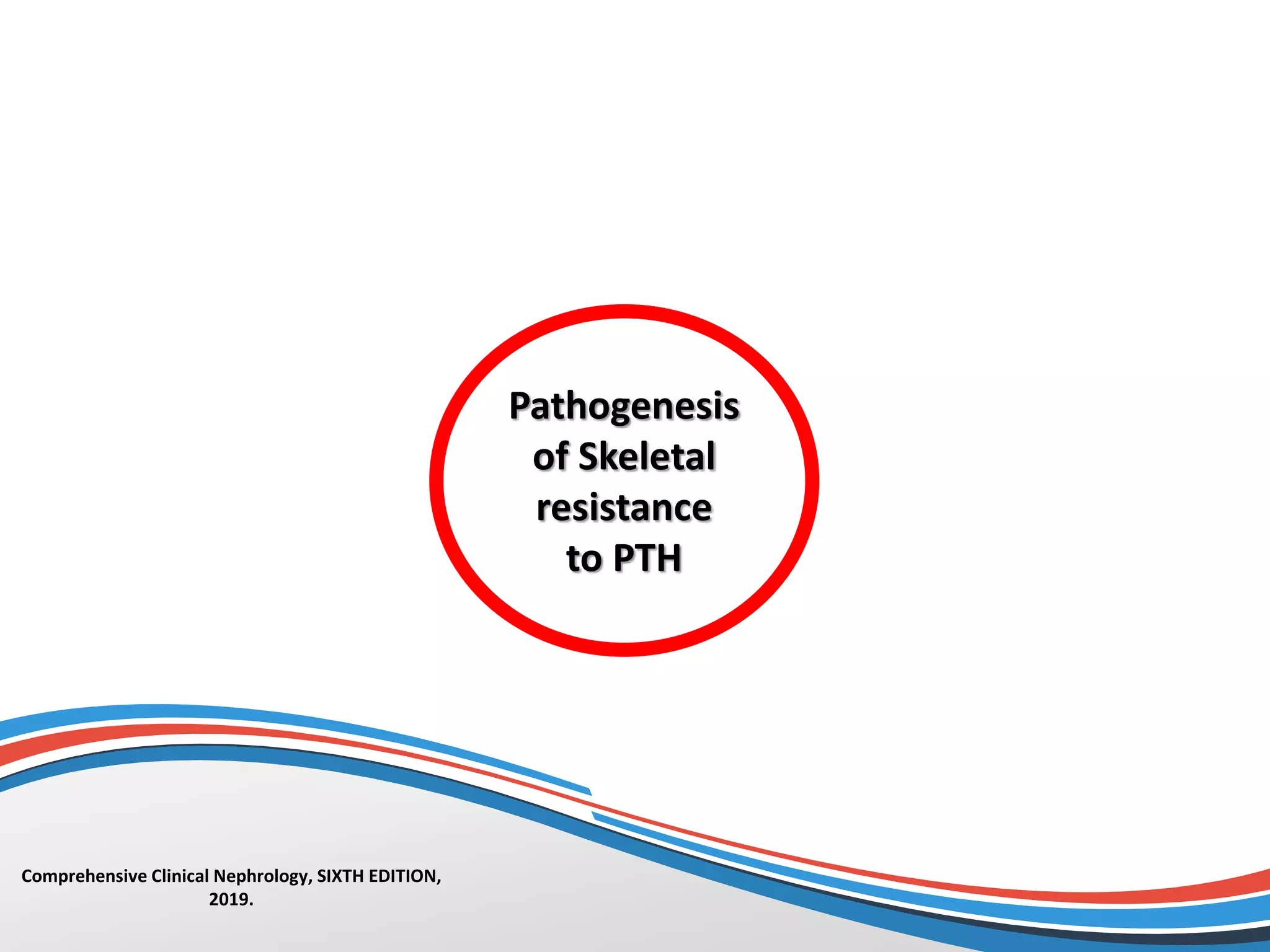 CKD MBD; make it easy | PPTX