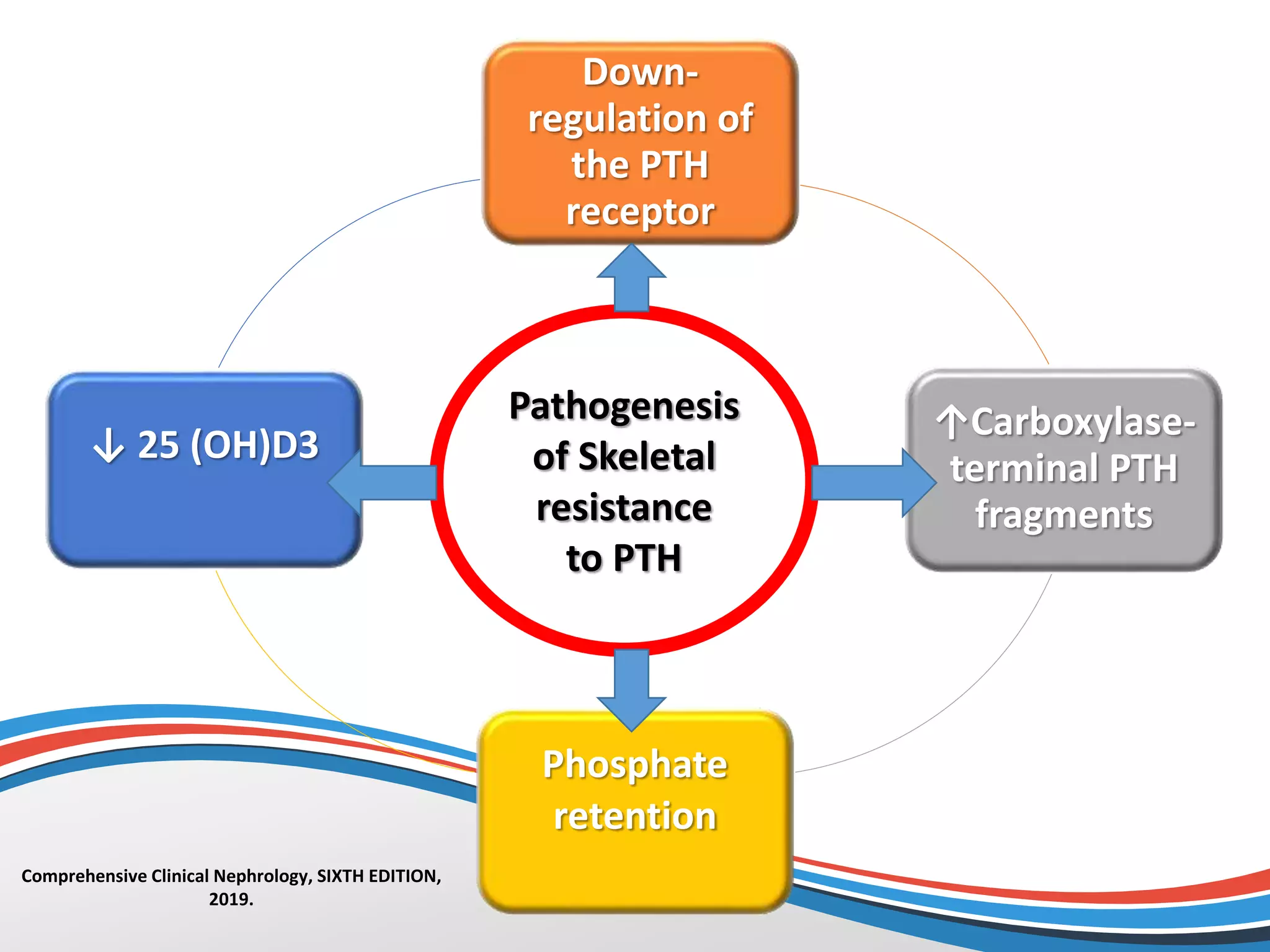 CKD MBD; make it easy | PPTX