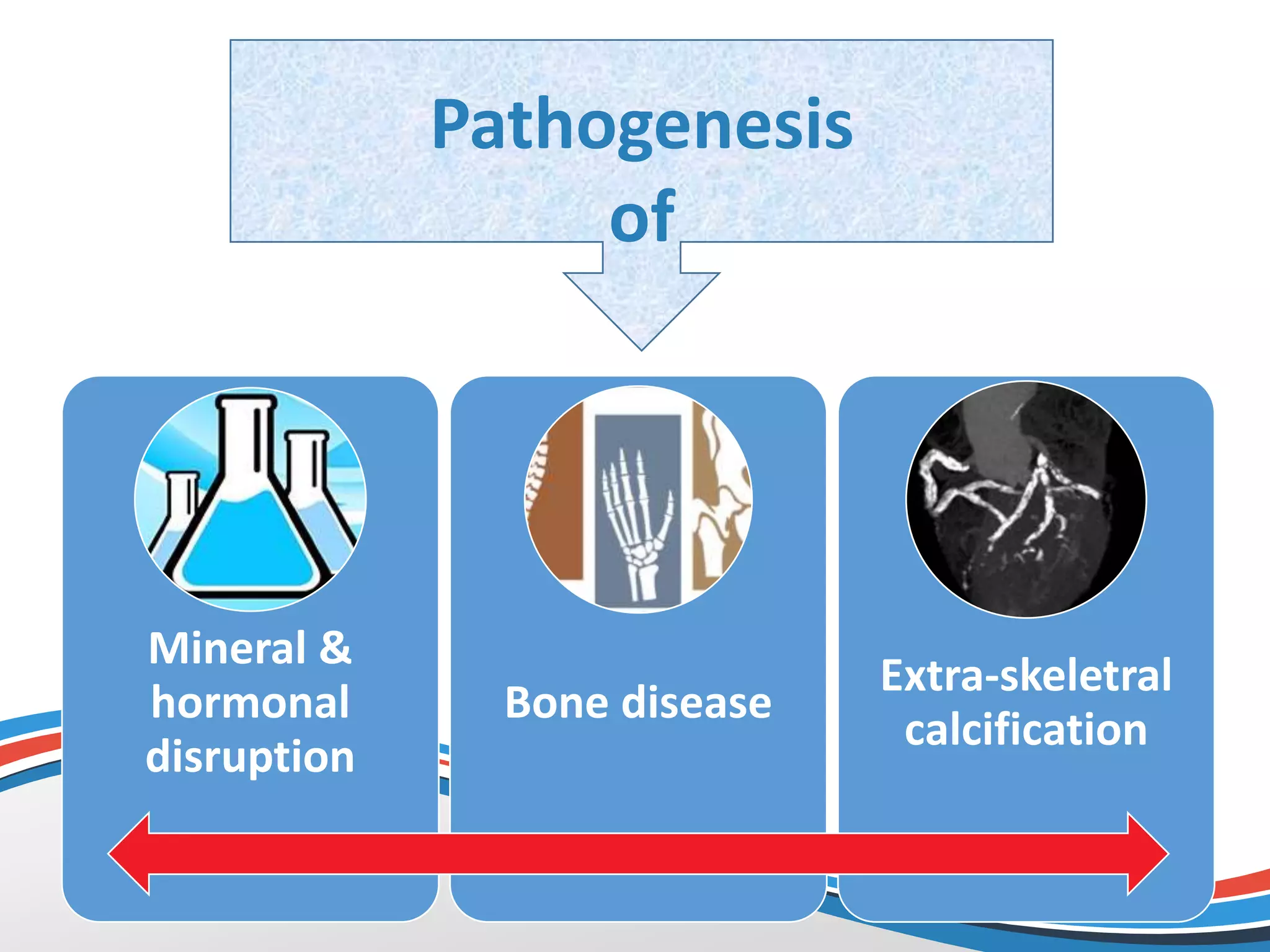 CKD MBD; make it easy | PPTX