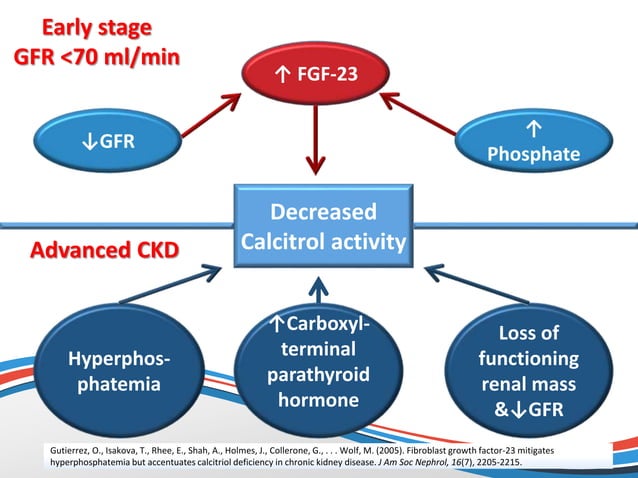 CKD MBD; make it easy | PPTX | Endocrine and Metabolic Diseases ...