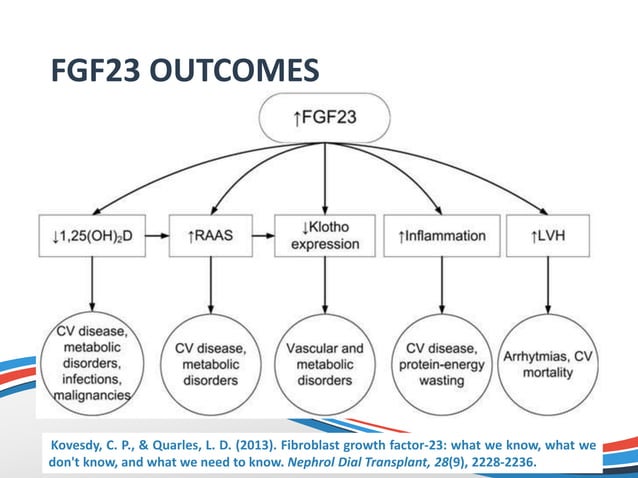 CKD MBD; make it easy | PPTX | Endocrine and Metabolic Diseases ...