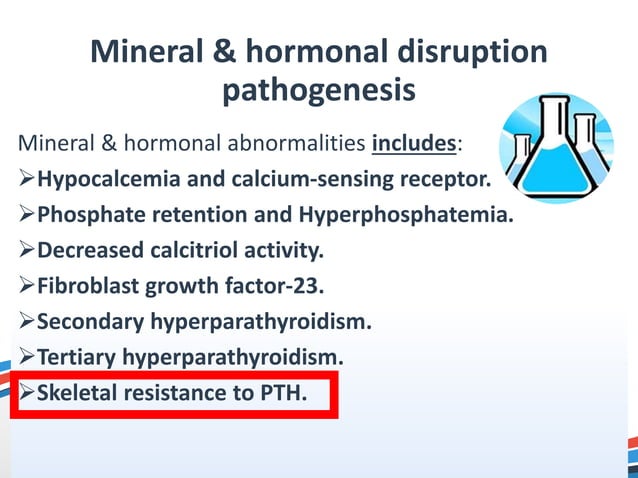 CKD MBD; make it easy | PPTX | Endocrine and Metabolic Diseases ...