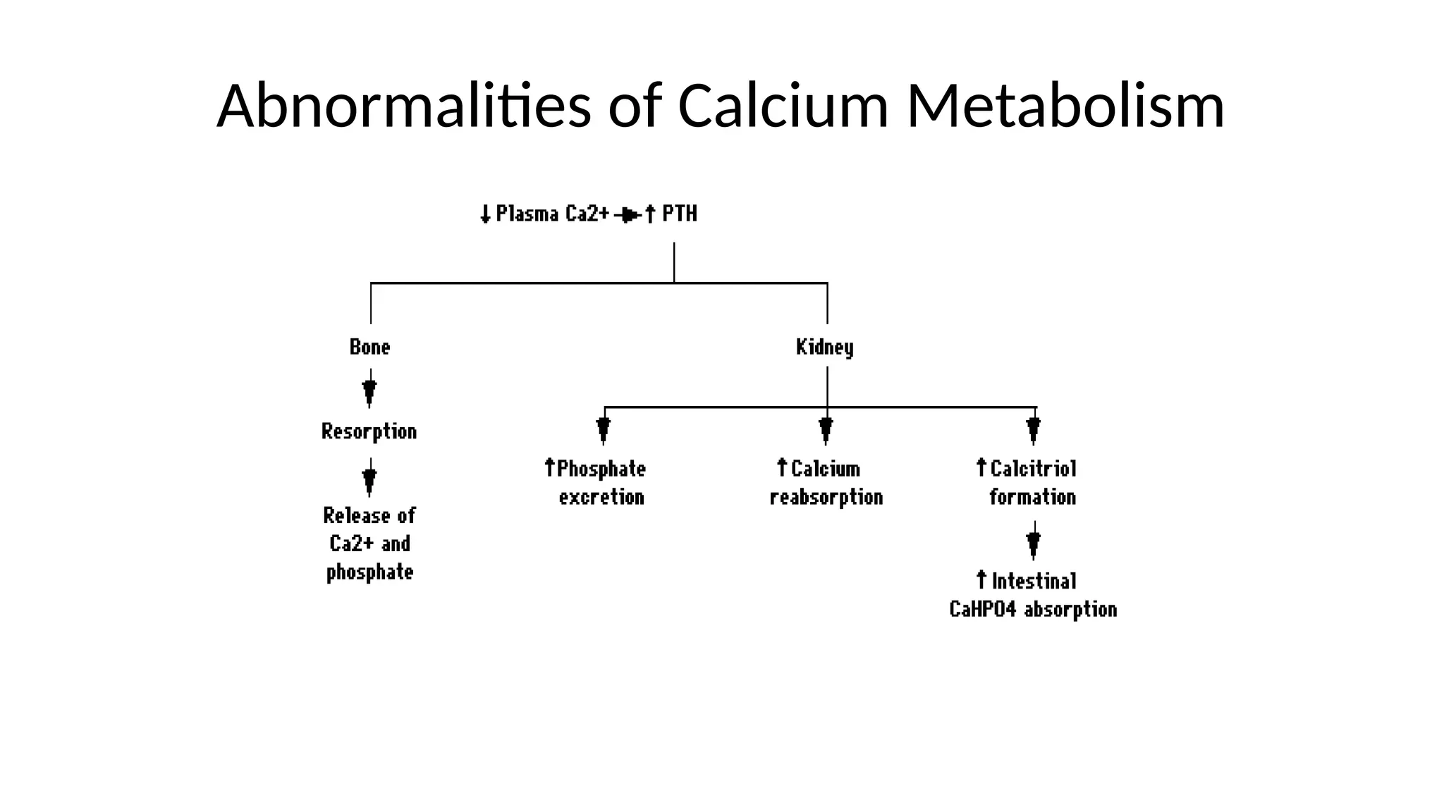 Chronic kidney disease - mineral bone disease | PPTX