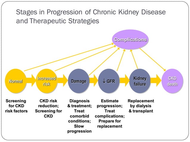 Chronic Kidney Disease Prediction | PDF