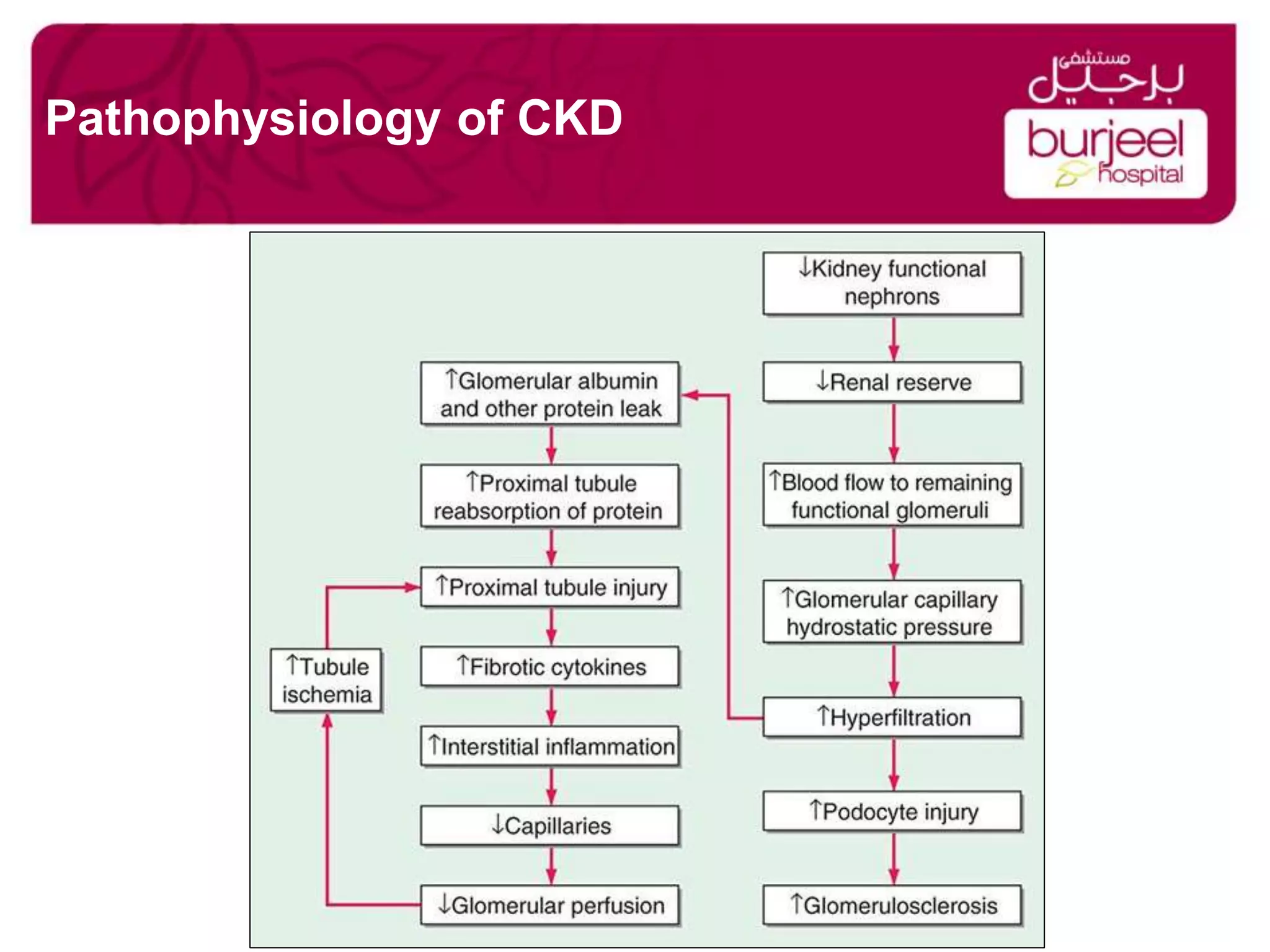 Ckd 2016 100 1 | PPTX