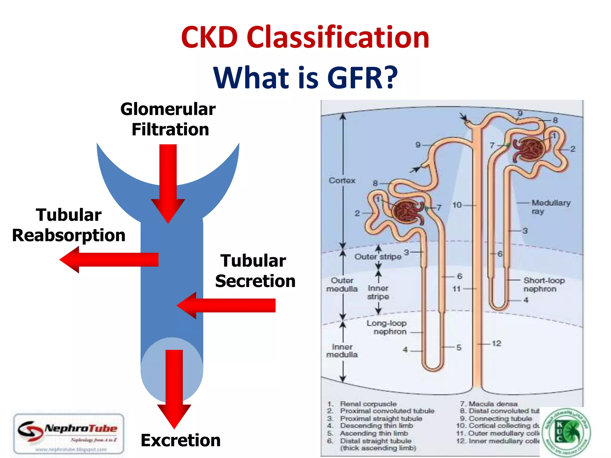 Chronic Kidney Disease (CKD) - At a Glance - Dr. Gawad | PPTX