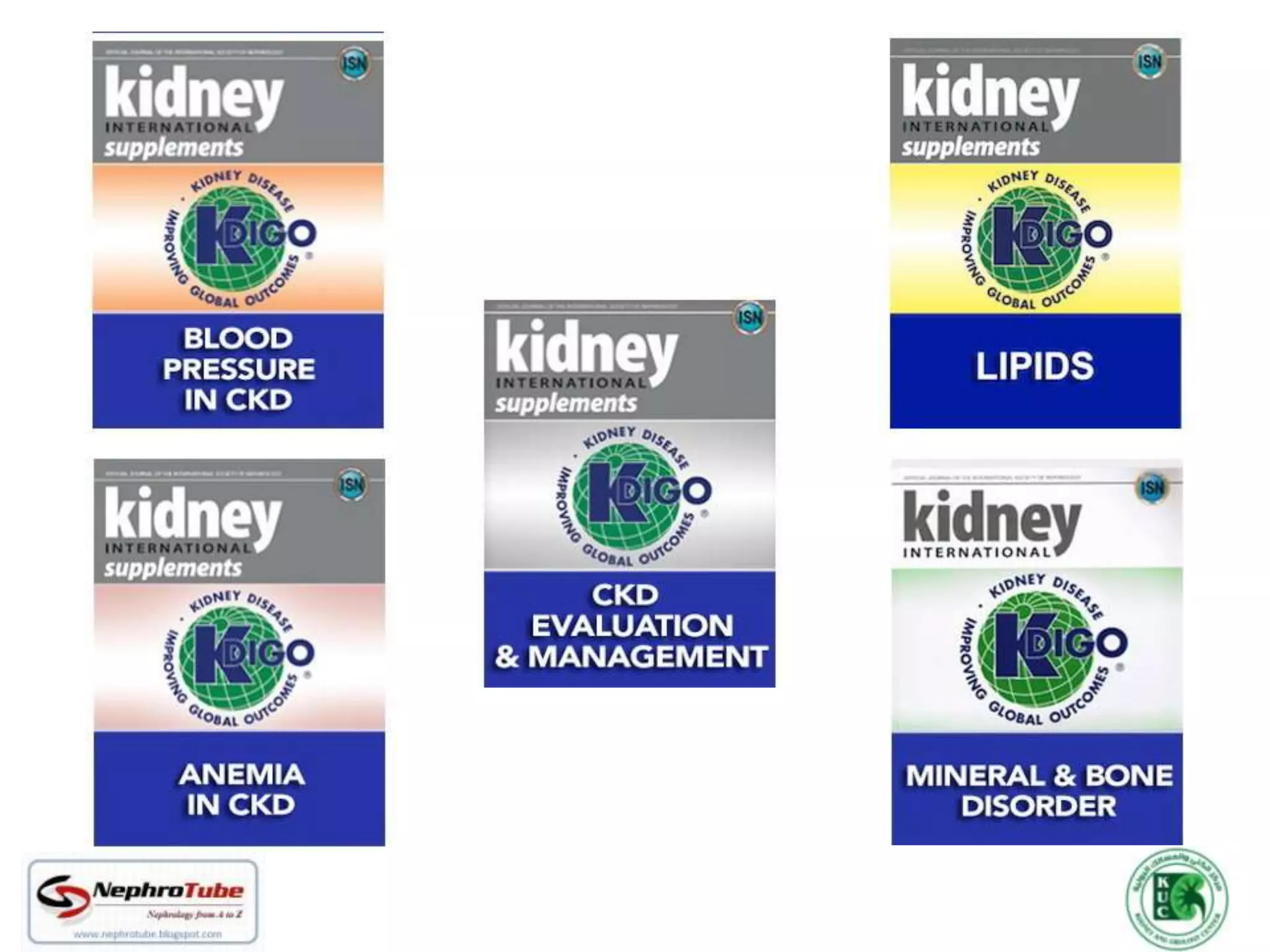 Chronic Kidney Disease (CKD) - At a Glance - Dr. Gawad | PPTX