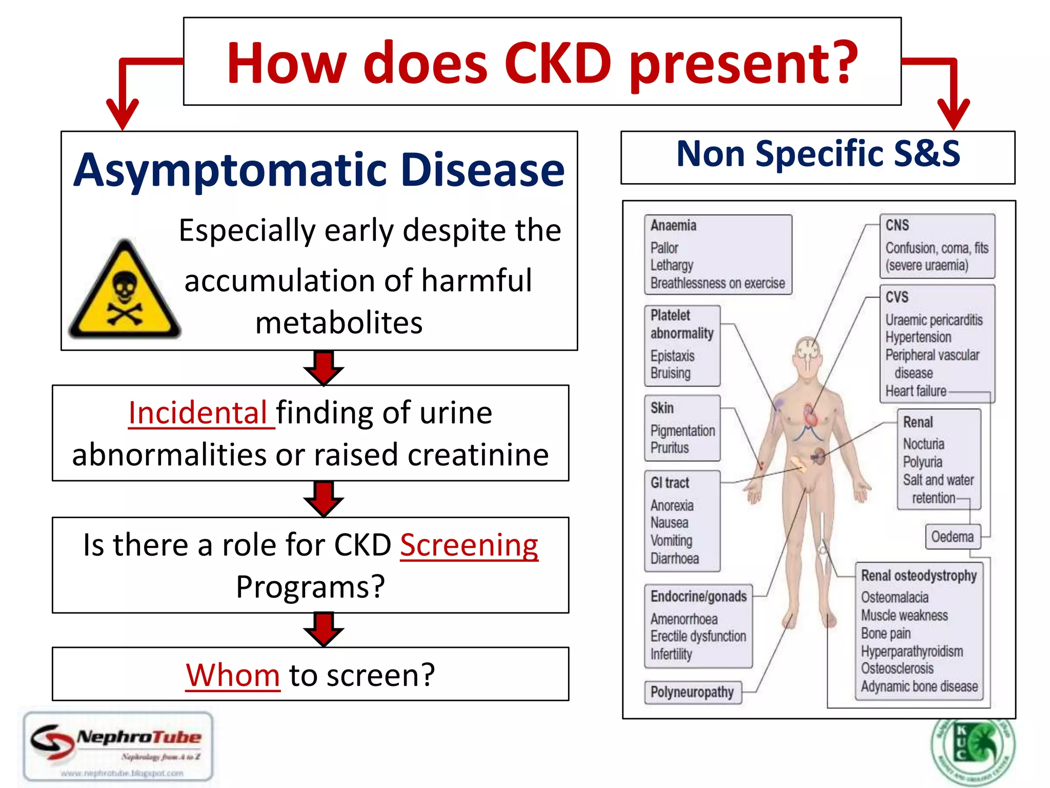 Chronic Kidney Disease (CKD) - At a Glance - Dr. Gawad | PPTX