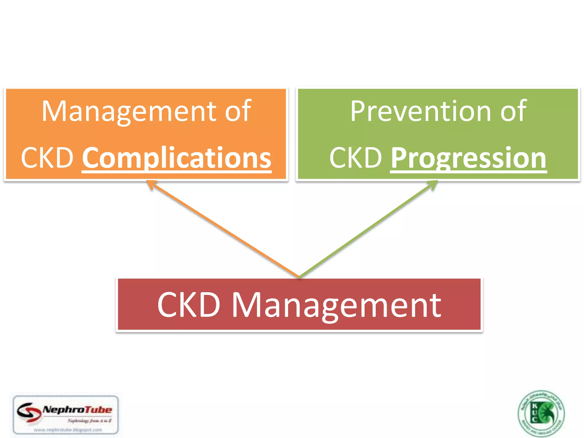 Chronic Kidney Disease (CKD) - At a Glance - Dr. Gawad | PPTX