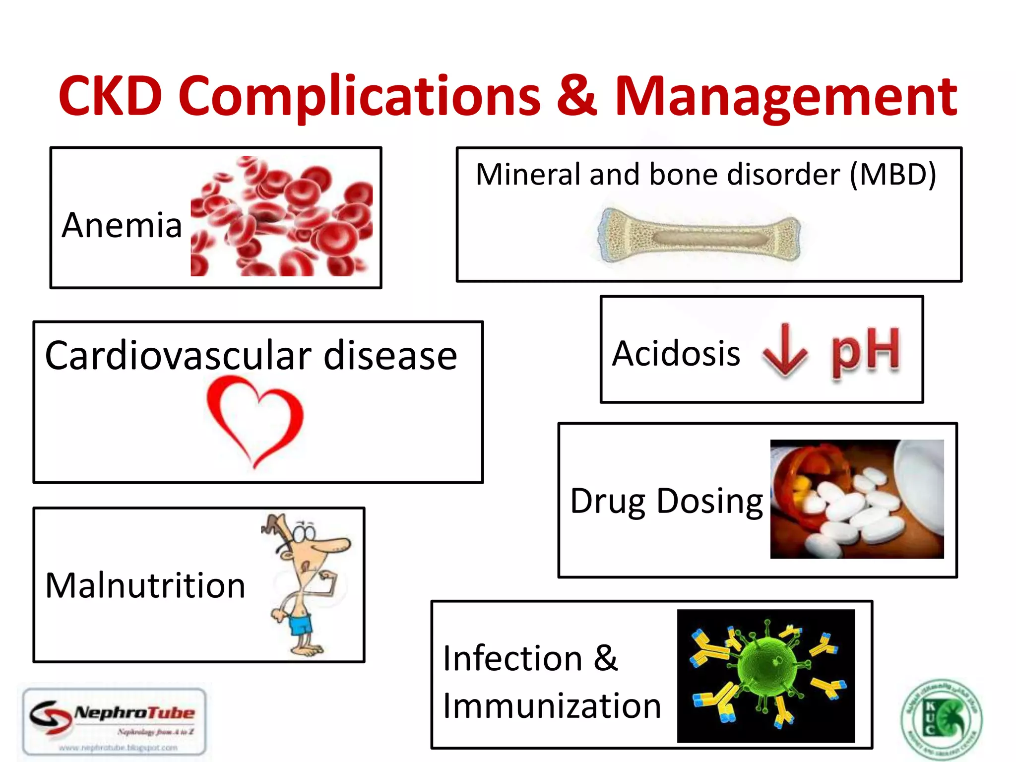 Chronic Kidney Disease (CKD) - At a Glance - Dr. Gawad | PPTX