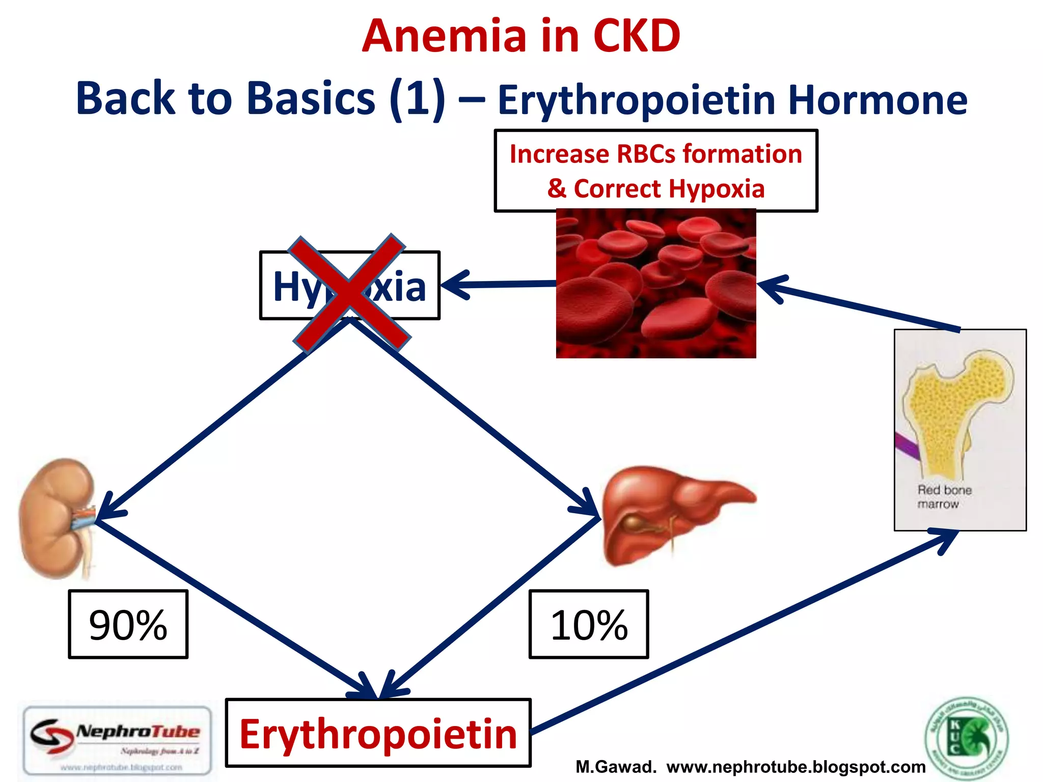Chronic Kidney Disease (CKD) - At a Glance - Dr. Gawad | PPTX
