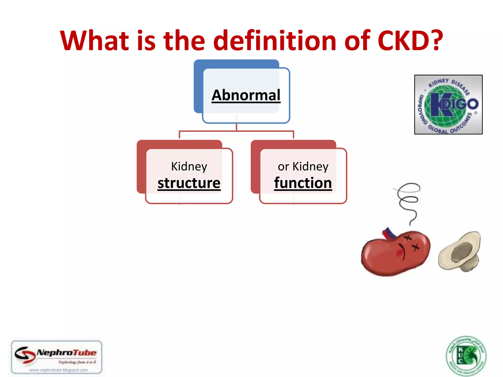 Chronic Kidney Disease (CKD) - At a Glance - Dr. Gawad | PPTX