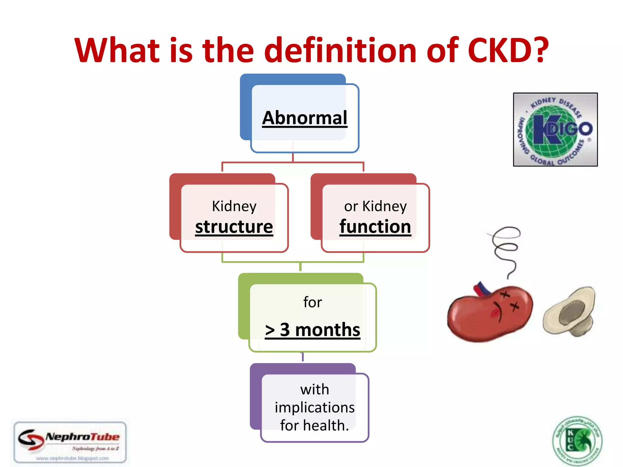 Chronic Kidney Disease (CKD) - At a Glance - Dr. Gawad | PPTX