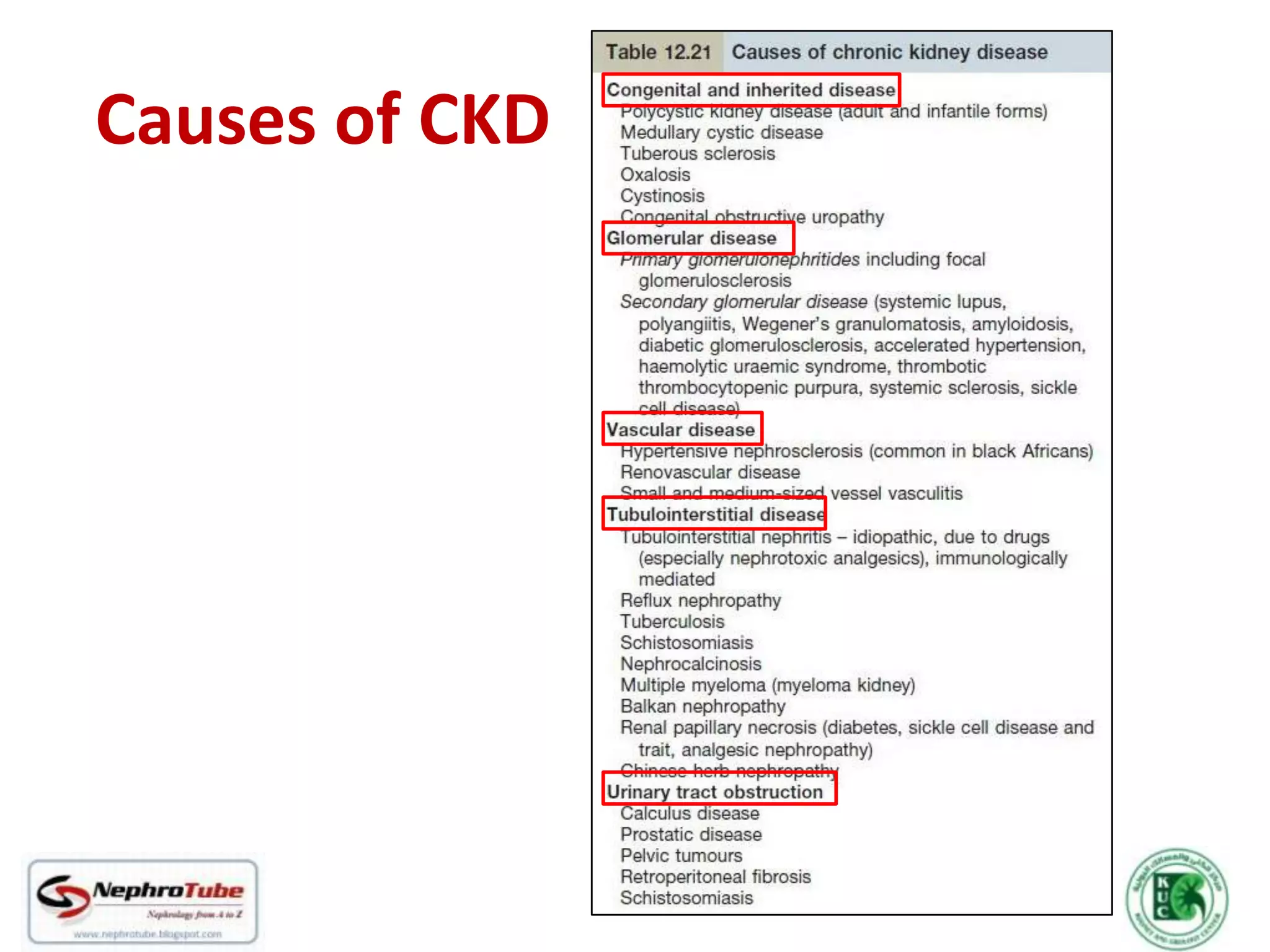 Chronic Kidney Disease (CKD) - At a Glance - Dr. Gawad | PPTX
