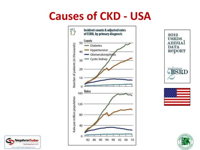 Chronic Kidney Disease (CKD) - At a Glance - Dr. Gawad | PPTX