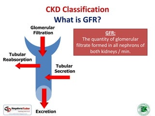 Chronic Kidney Disease (CKD) - At a Glance - Dr. Gawad | PPTX