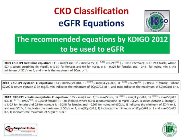 Chronic Kidney Disease (CKD) - At a Glance - Dr. Gawad | PPTX