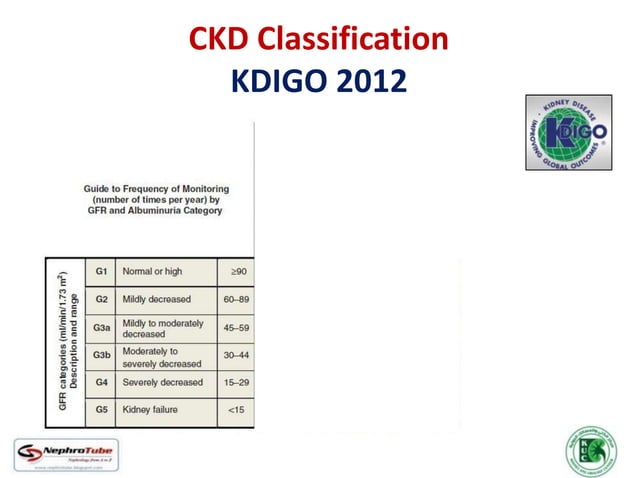 Chronic Kidney Disease (CKD) - At a Glance - Dr. Gawad | PPTX