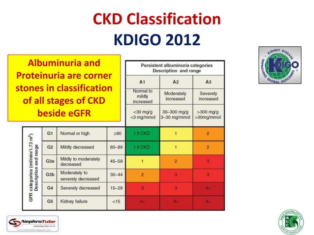 Chronic Kidney Disease (CKD) - At a Glance - Dr. Gawad | PPT | Free ...