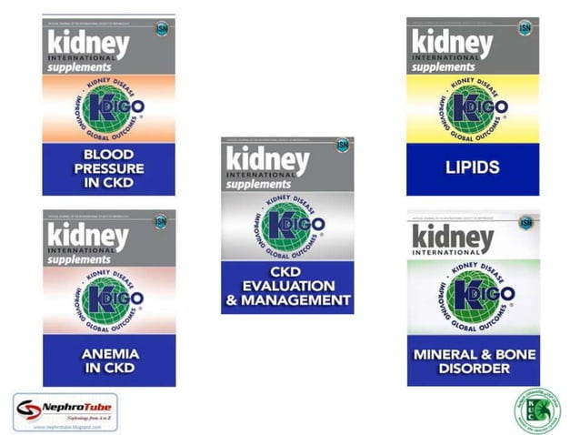 Chronic Kidney Disease (CKD) - At a Glance - Dr. Gawad | PPTX
