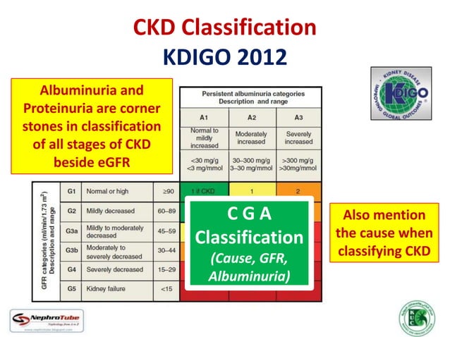 Chronic Kidney Disease (CKD) - At a Glance - Dr. Gawad | PPTX