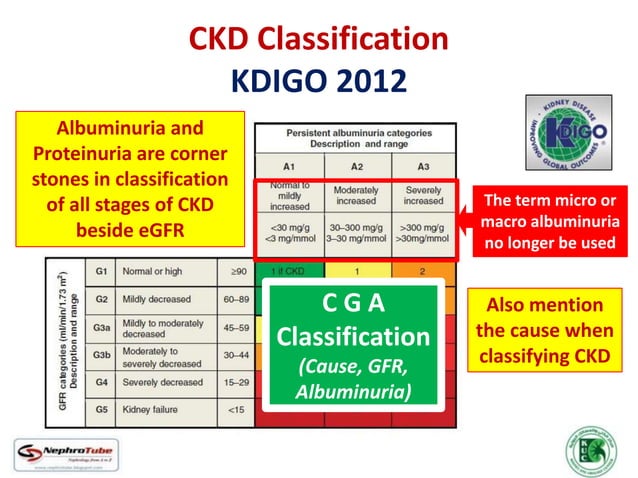 Chronic Kidney Disease (CKD) - At a Glance - Dr. Gawad | PPTX