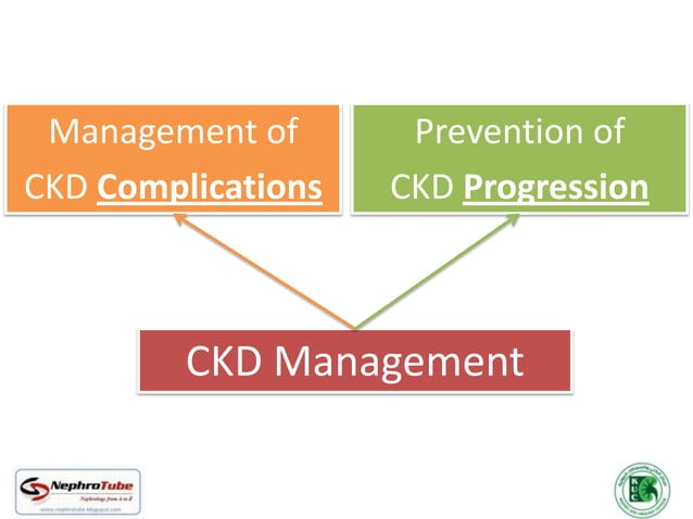 Chronic Kidney Disease (CKD) - At a Glance - Dr. Gawad | PPTX