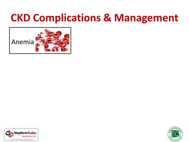 Chronic Kidney Disease (CKD) - At a Glance - Dr. Gawad | PPTX