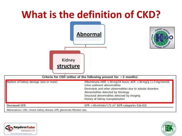 Chronic Kidney Disease (CKD) - At a Glance - Dr. Gawad | PPTX