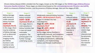 CKD diet.pptx