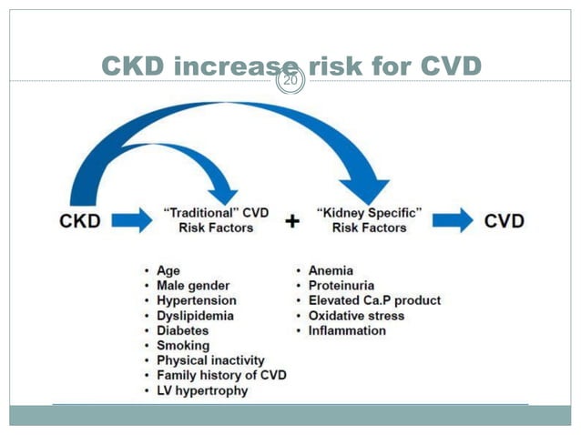 รวม Ckd introduction guideline and ckd clinic model of thailand with ...