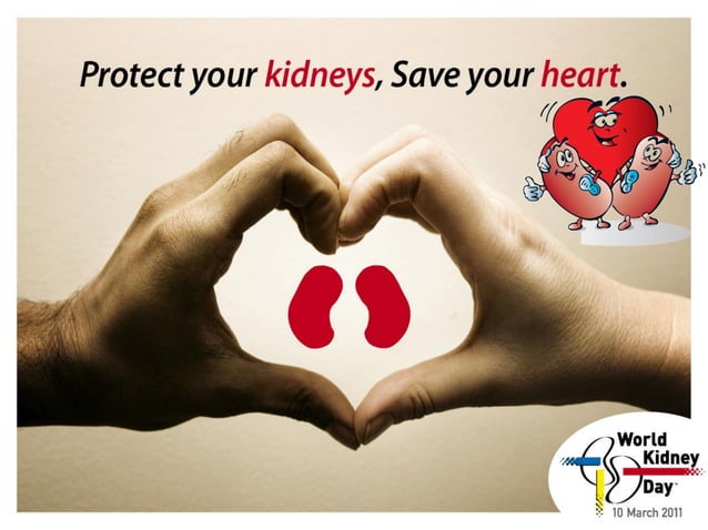 รวม Ckd introduction guideline and ckd clinic model of thailand with ...