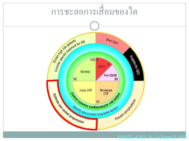 รวม Ckd introduction guideline and ckd clinic model of thailand with kpi thai version for print ...