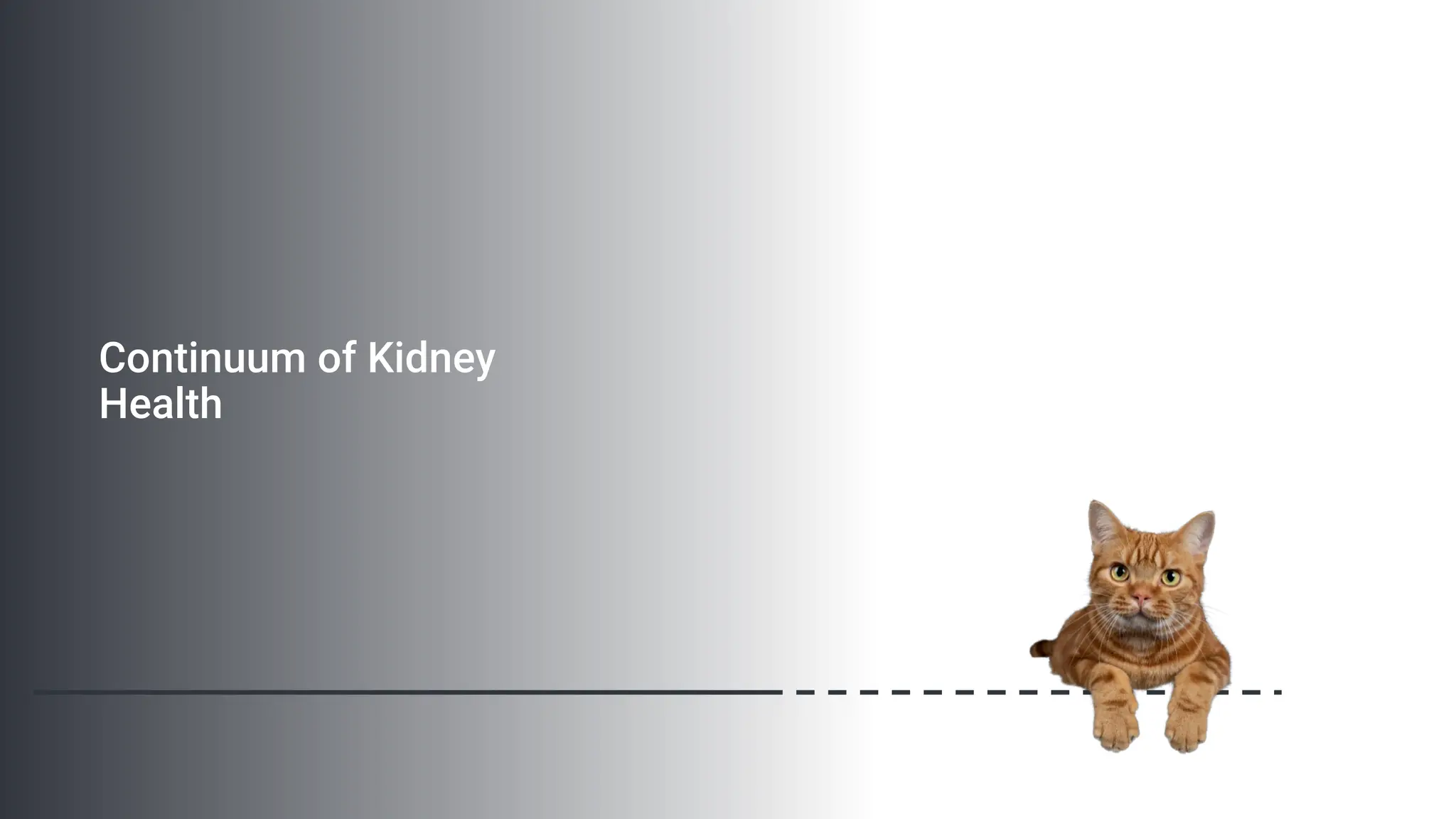 CKD Lifecycle ISFM CKD isfm life cycle CKD | PDF