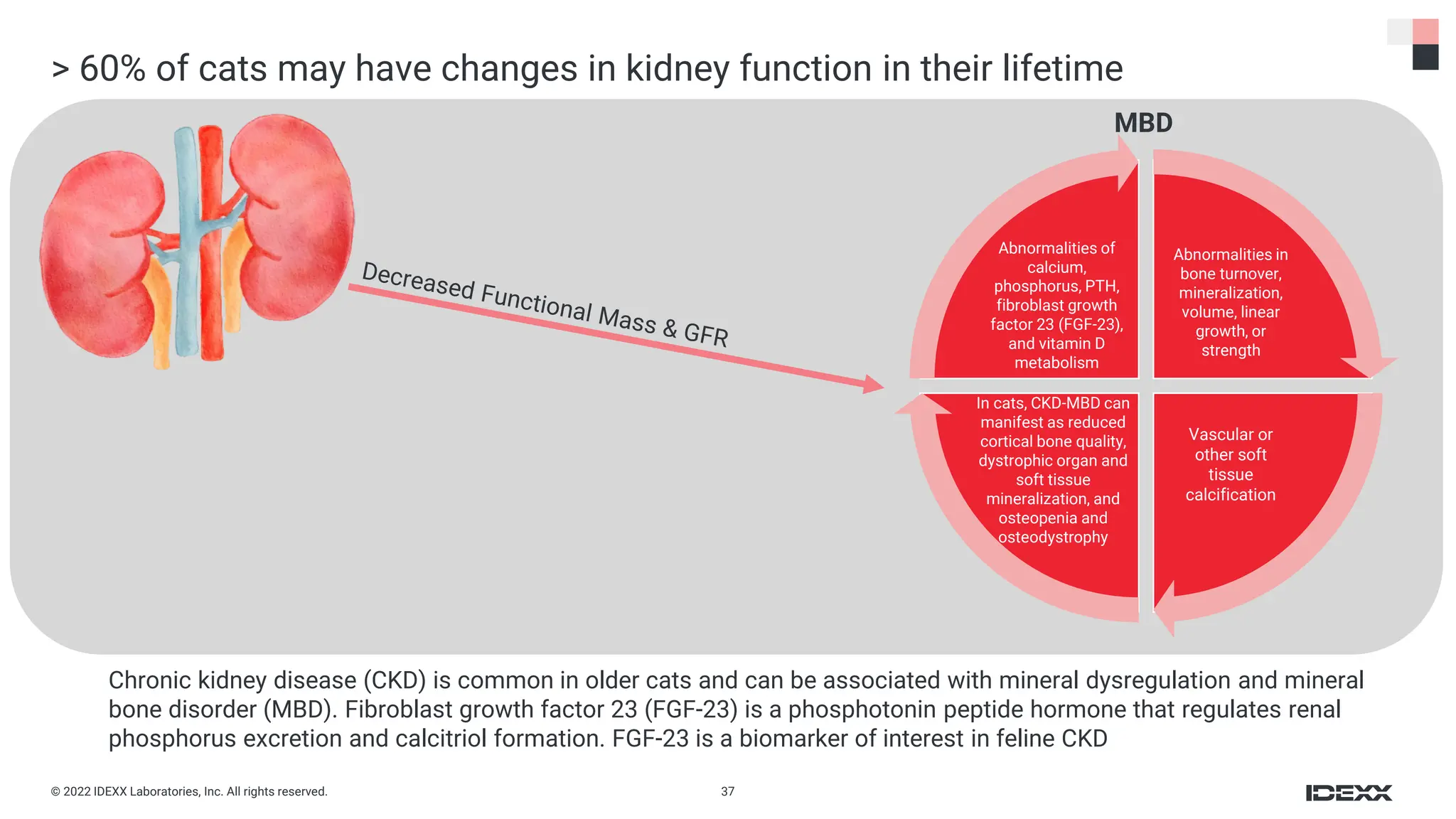 CKD Lifecycle ISFM CKD isfm life cycle CKD | PDF