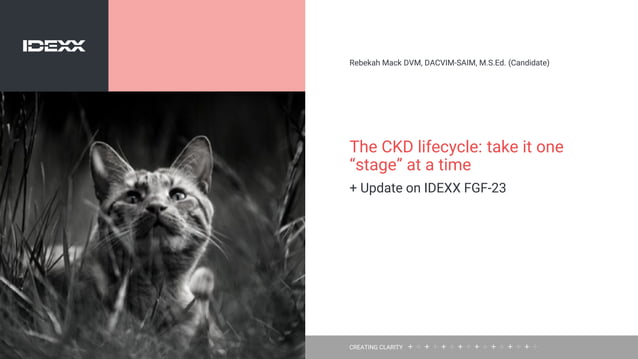 CKD Lifecycle ISFM CKD isfm life cycle CKD | PDF