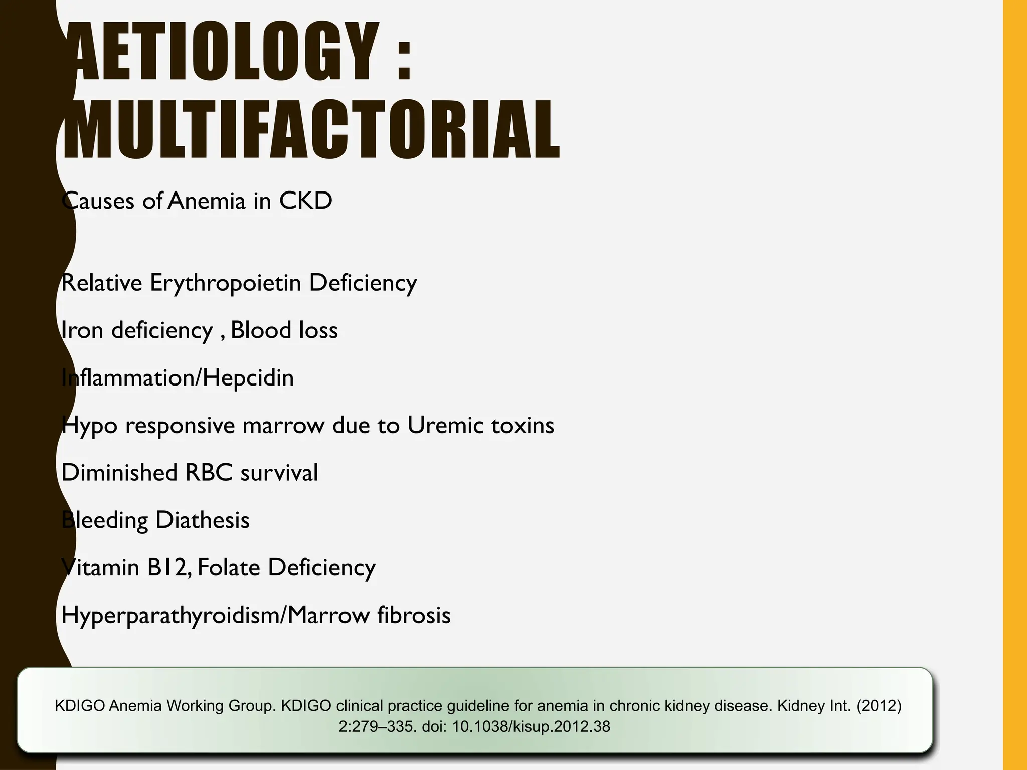 Chronic Kidney Disease presentation(MBBS).pptx
