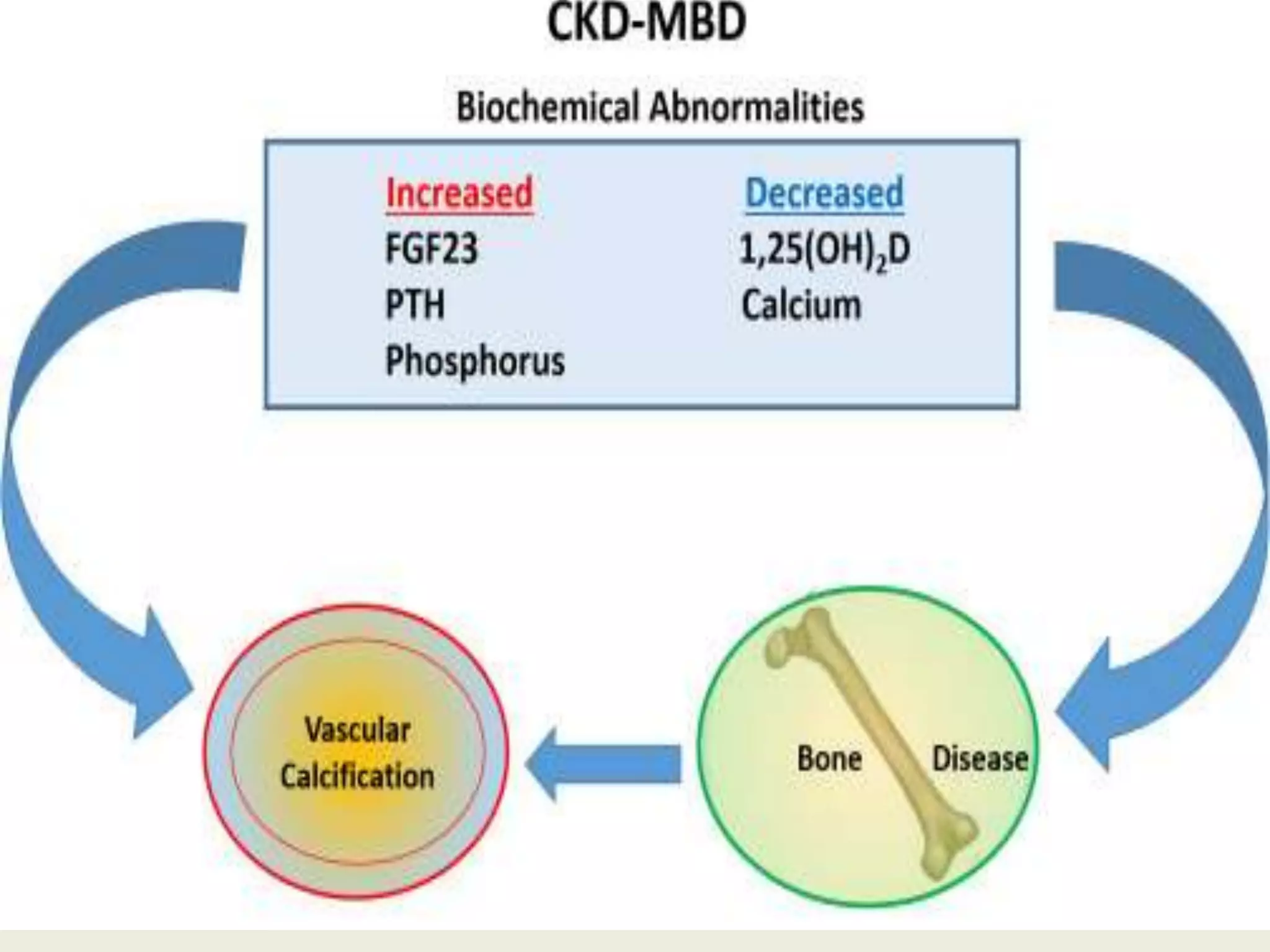 CKD MBD chronic kidney disease mineral bone disease Dr. Abdel Rahman ...