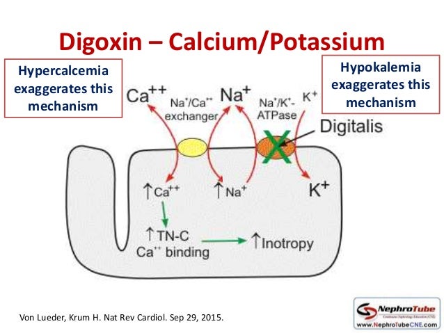CKD MBD - Drug Related Issues