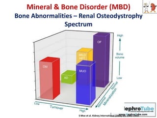 CKD Mineral Bone Disorder (CKD-MBD) - Dr. Gawad | PPTX